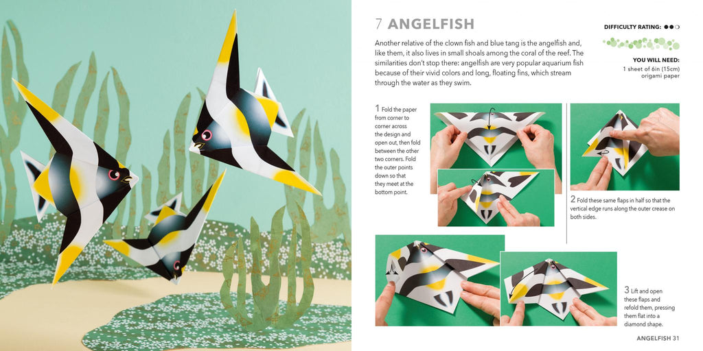 Origami Sea Animals – rylandpeters